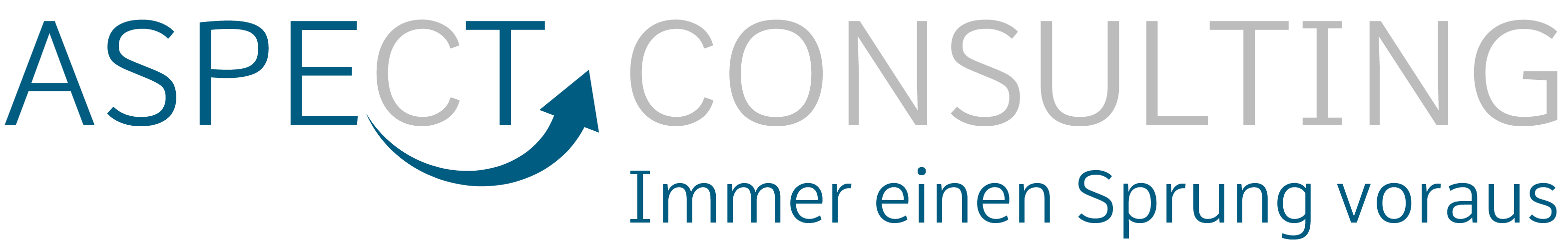 Aspect Consulting - Experten für SAP und Projektmanagement